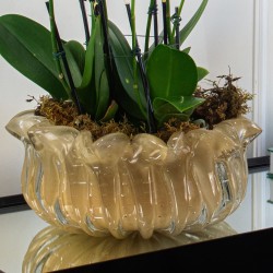 Centro de Mesa Murano Nice Centro de Mesa Nice Champagne